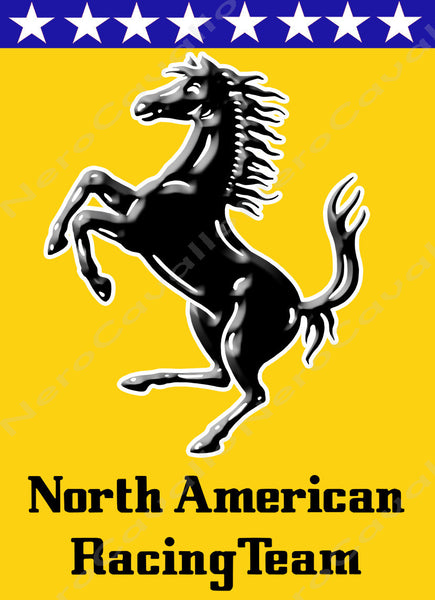 NART Wing 1 Decal Wall Covering – Nero Cavallo