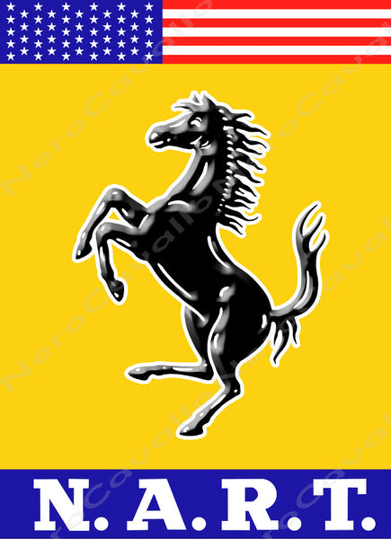 NART Wing 2 Decal Wall Covering – Nero Cavallo